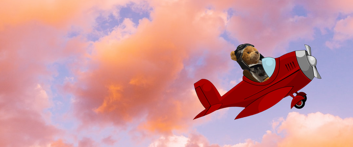 MOTAT Museum of Transport and Technology Online Shop – MOTAT Shop